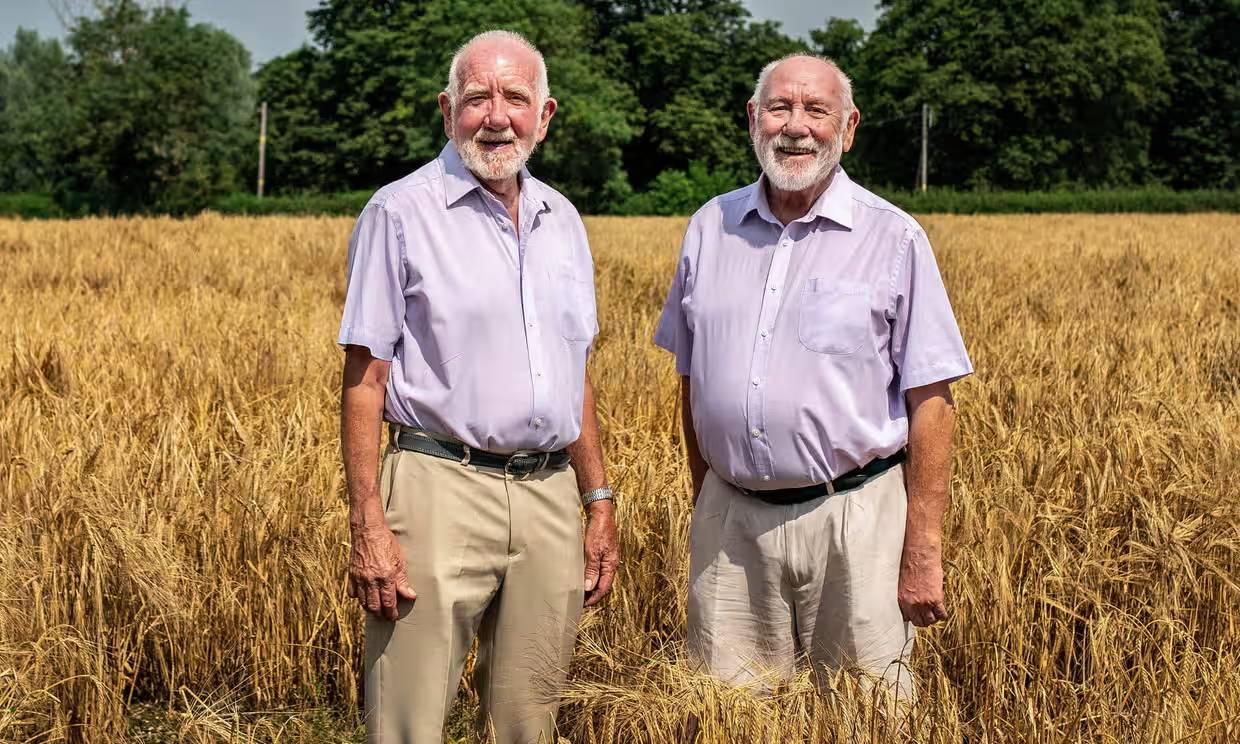 دوستی با همزاد - مرد روز